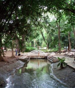 Empress Botanical Garden – a green paradise in the heart of Pune is a ...